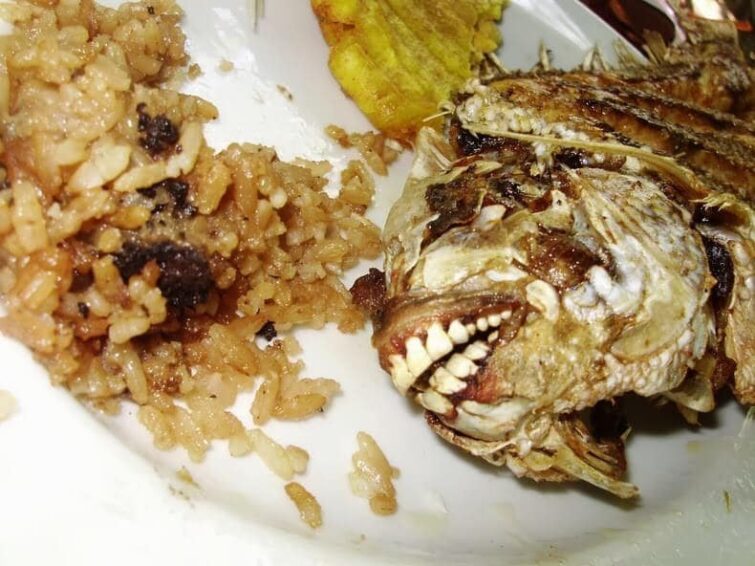 Le Pacu, un poisson avec des dents humaines