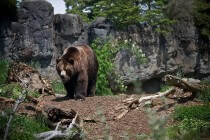 Visiter Seattle : les 16 choses incontournables à faire