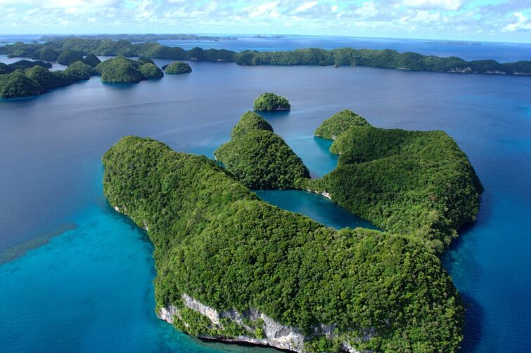 Photos éblouissantes de Palaos, sanctuaire marin du Pacifique