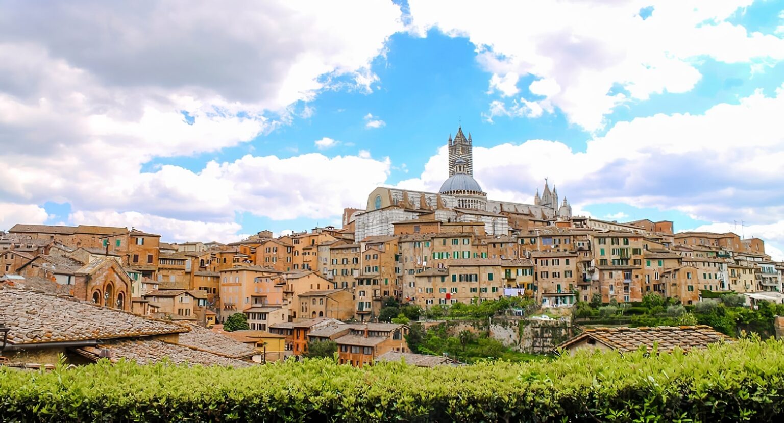 Palio de Sienne : comment voir la célèbre course de chevaux