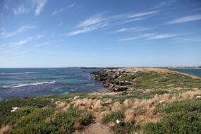 Visiter Perth : les 8 choses incontournables à faire