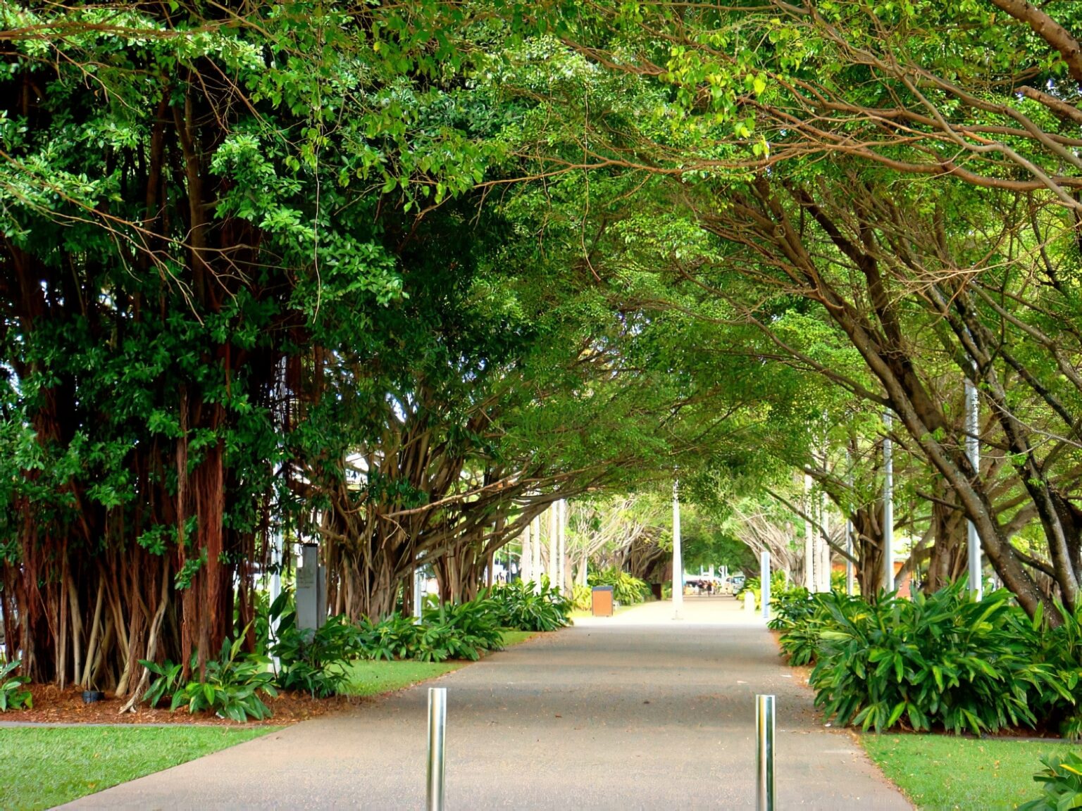 Visiter Cairns : les 9 choses incontournables à faire