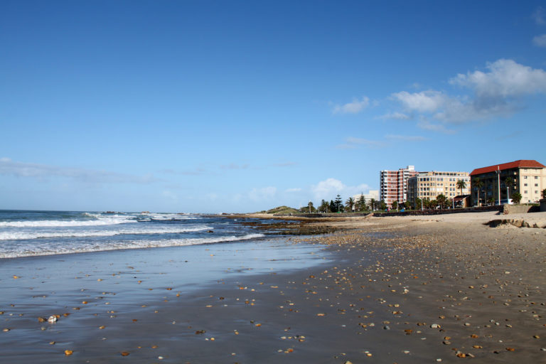 Visiter Port Elizabeth : les 10 choses incontournables à faire