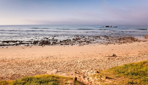 Visiter Port Elizabeth : les 10 choses incontournables à faire