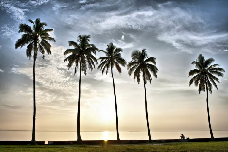 Tourisme Suva : vivez des expériences uniques en 2025