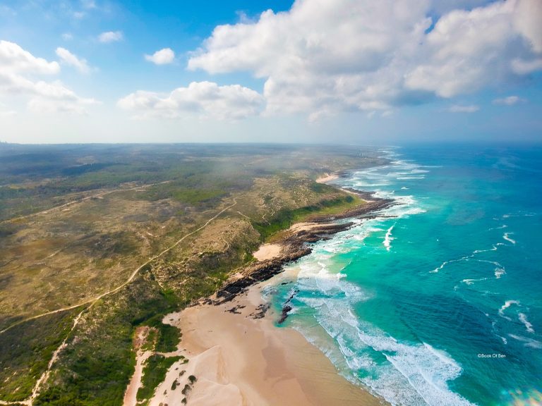 Visiter Port Elizabeth : les 10 choses incontournables à faire