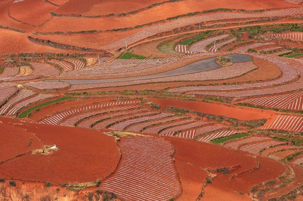 Dongchuan Red Land en Chine : le chef-d’œuvre naturel du Yunnan