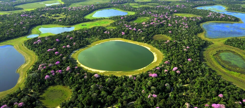 L'Île de Queimada Grande, "l'île aux serpents"