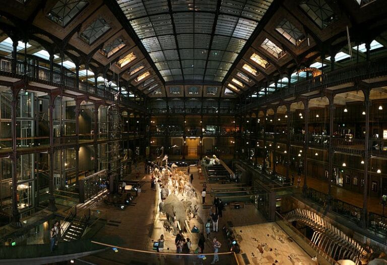 Visiter le Muséum national d’Histoire naturelle à Paris : billets ...