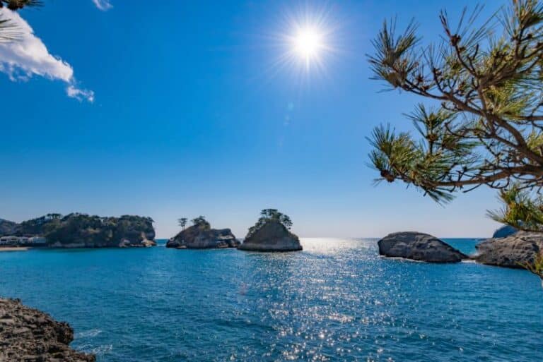 Les 16 choses incontournables à faire à Shizuoka