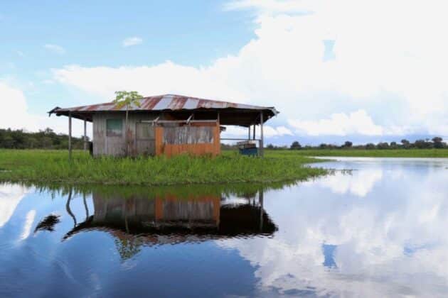 Les 11 choses incontournables à faire à Leticia