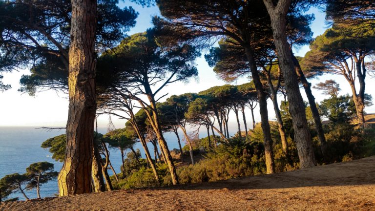 Visiter Tanger : les 8 choses incontournables à faire