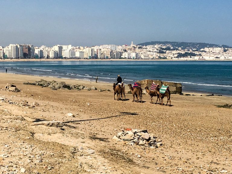 Visiter Tanger : les 8 choses incontournables à faire