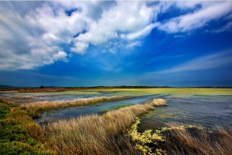 Les 11 choses incontournables à faire à Lemnos