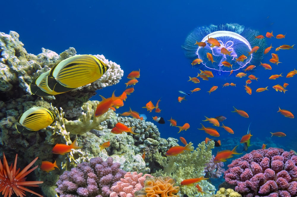 Les 10 choses incontournables à faire à Hurghada