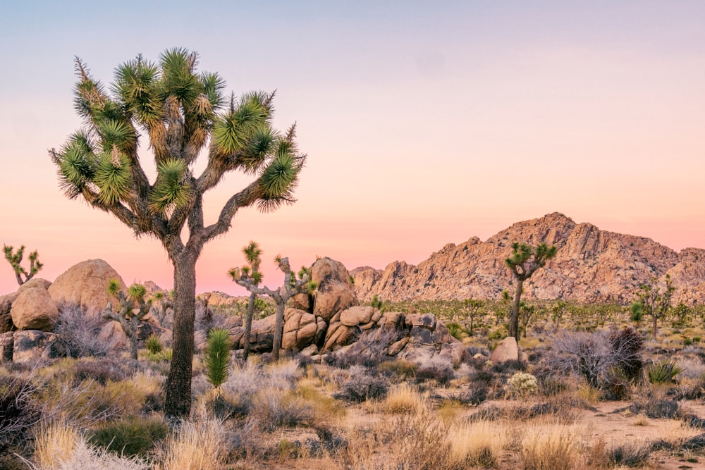 Pass America The Beautiful : avis, tarif, durée & activités incluses