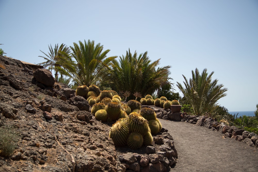 Visiter l’Oasis Park à Fuerteventura : billets, tarifs, horaires