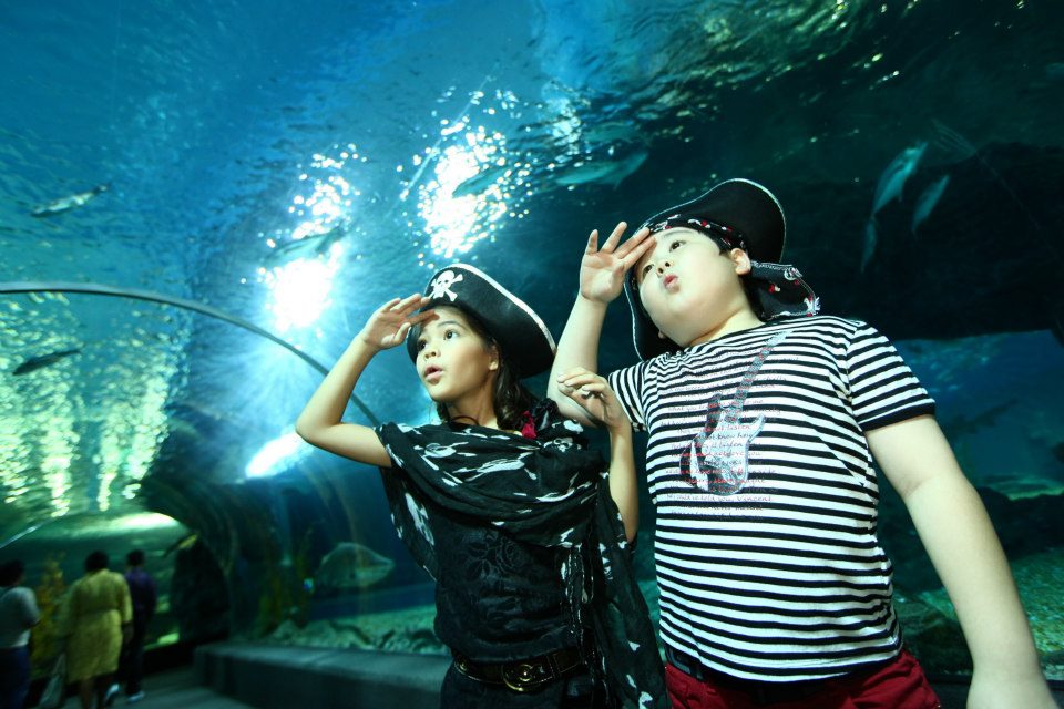 Visiter Sea Life Ocean World à Bangkok : billets, tarifs, horaires