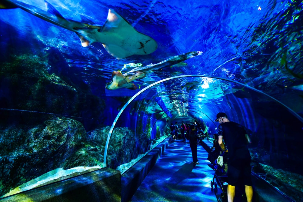 Visiter Sea Life Ocean World à Bangkok : billets, tarifs, horaires