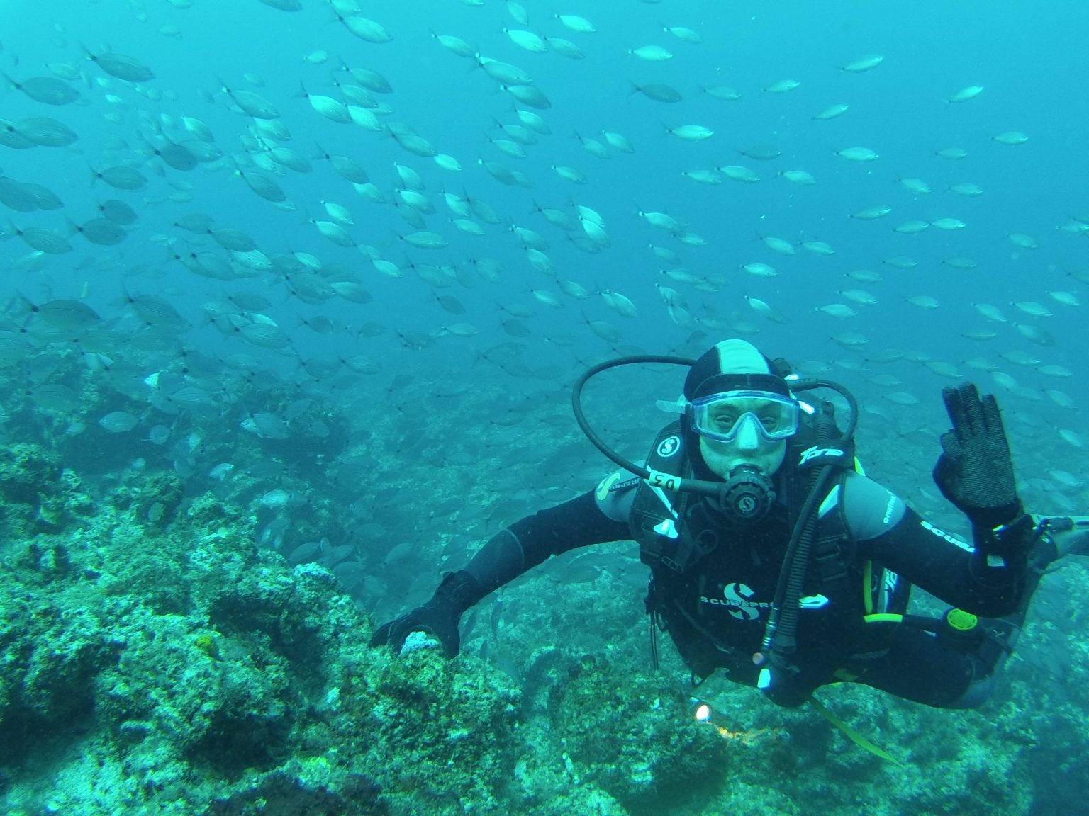 Les 9 meilleurs spots de plongée au Cap Vert