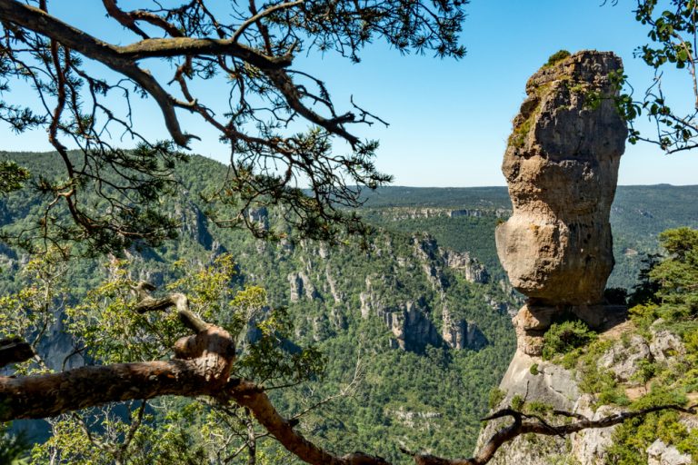 Les 15 plus belles gorges à visiter en France