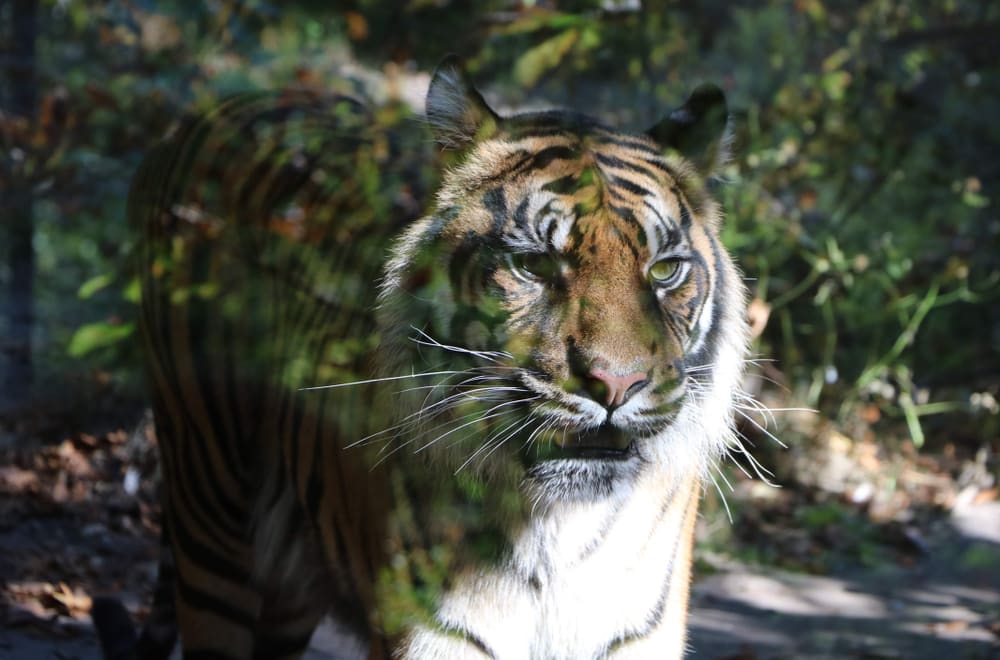 Les 14 choses incontournables à faire dans le Centre Val-de-Loire