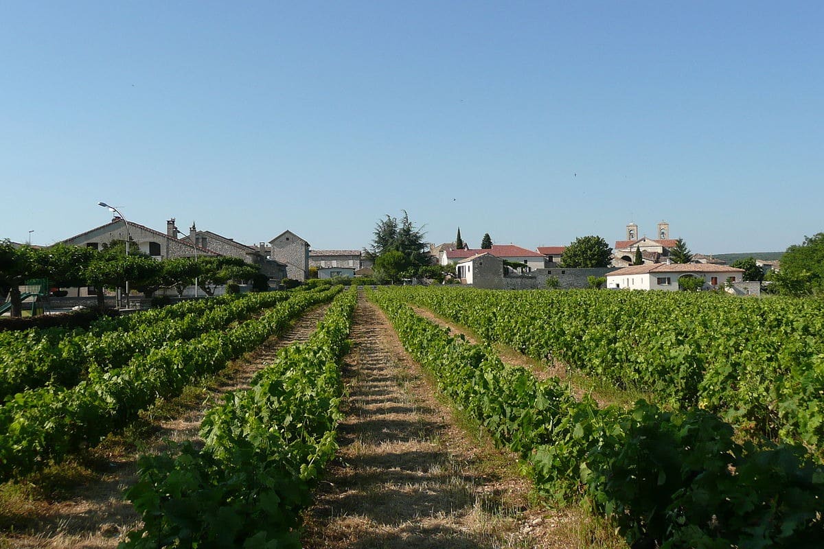 Les 8 plus beaux vignobles d’Occitanie