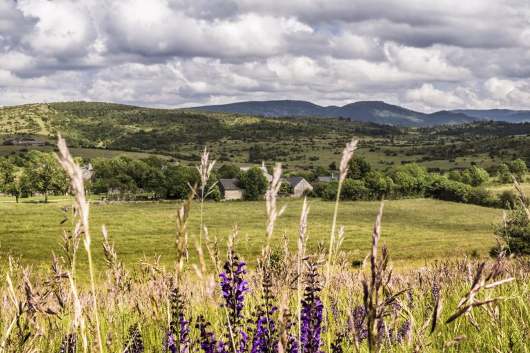 Visiter le Parc Naturel Régional de Millevaches : guide complet