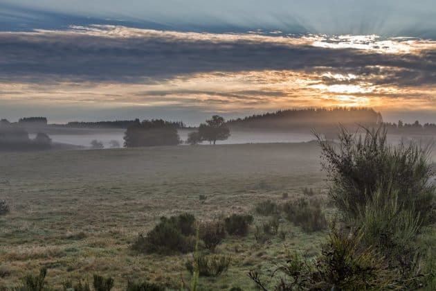 Visiter le Parc Naturel Régional de Millevaches : guide complet