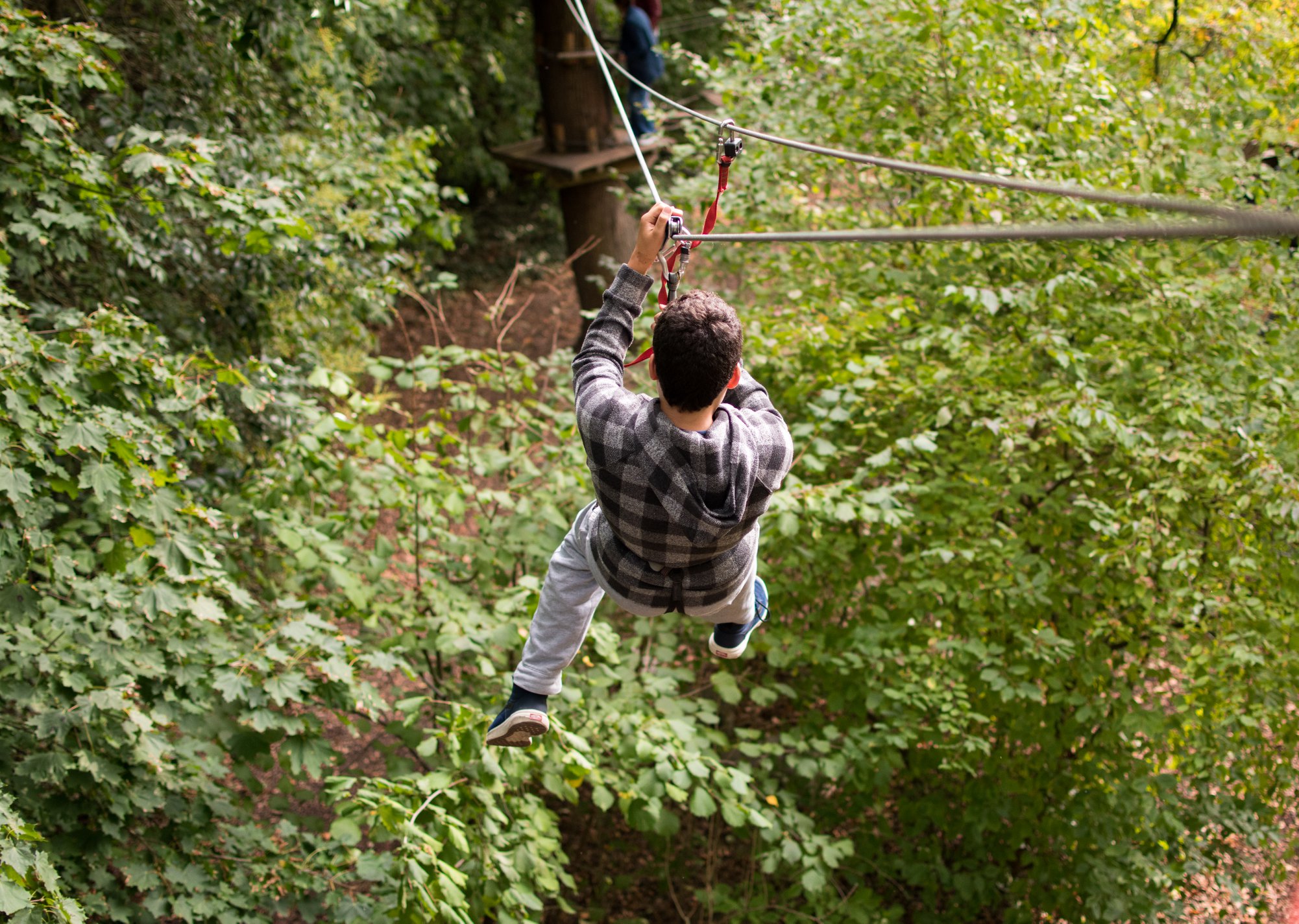 6 endroits où faire de l’accrobranche en Île-de-France