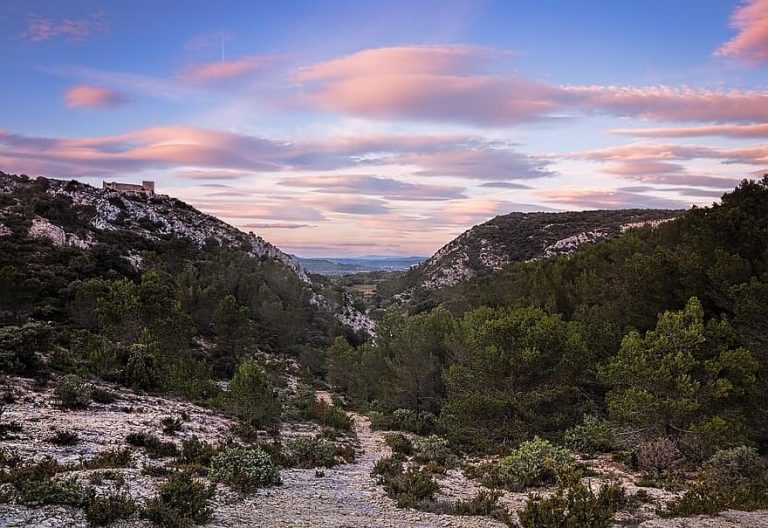 Les 11 choses incontournables à faire dans l’Aube
