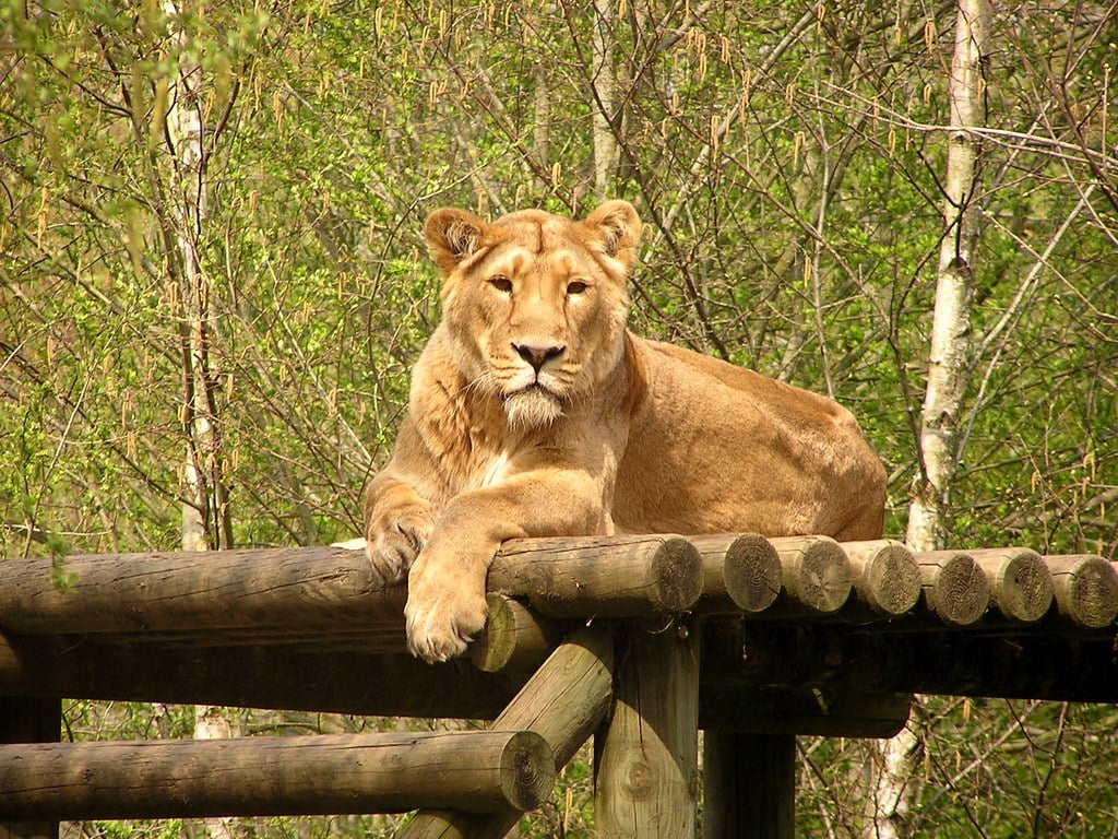 Les 22 choses incontournables à faire en Loire-Atlantique