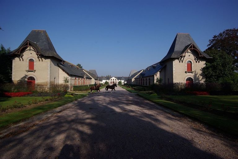 Les 22 choses incontournables à faire dans les Côtes-d’Armor