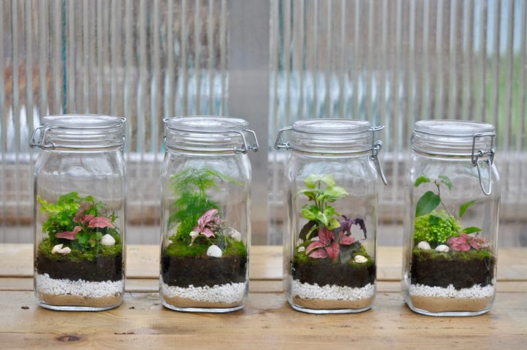 8 ateliers pour créer son terrarium à Paris