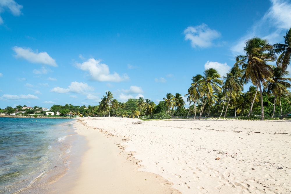 Road trip en Guadeloupe : les étapes incontournables