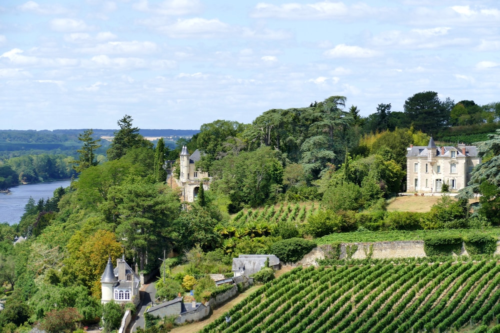 Les 13 choses incontournables à faire autour du Zoo de Beauval
