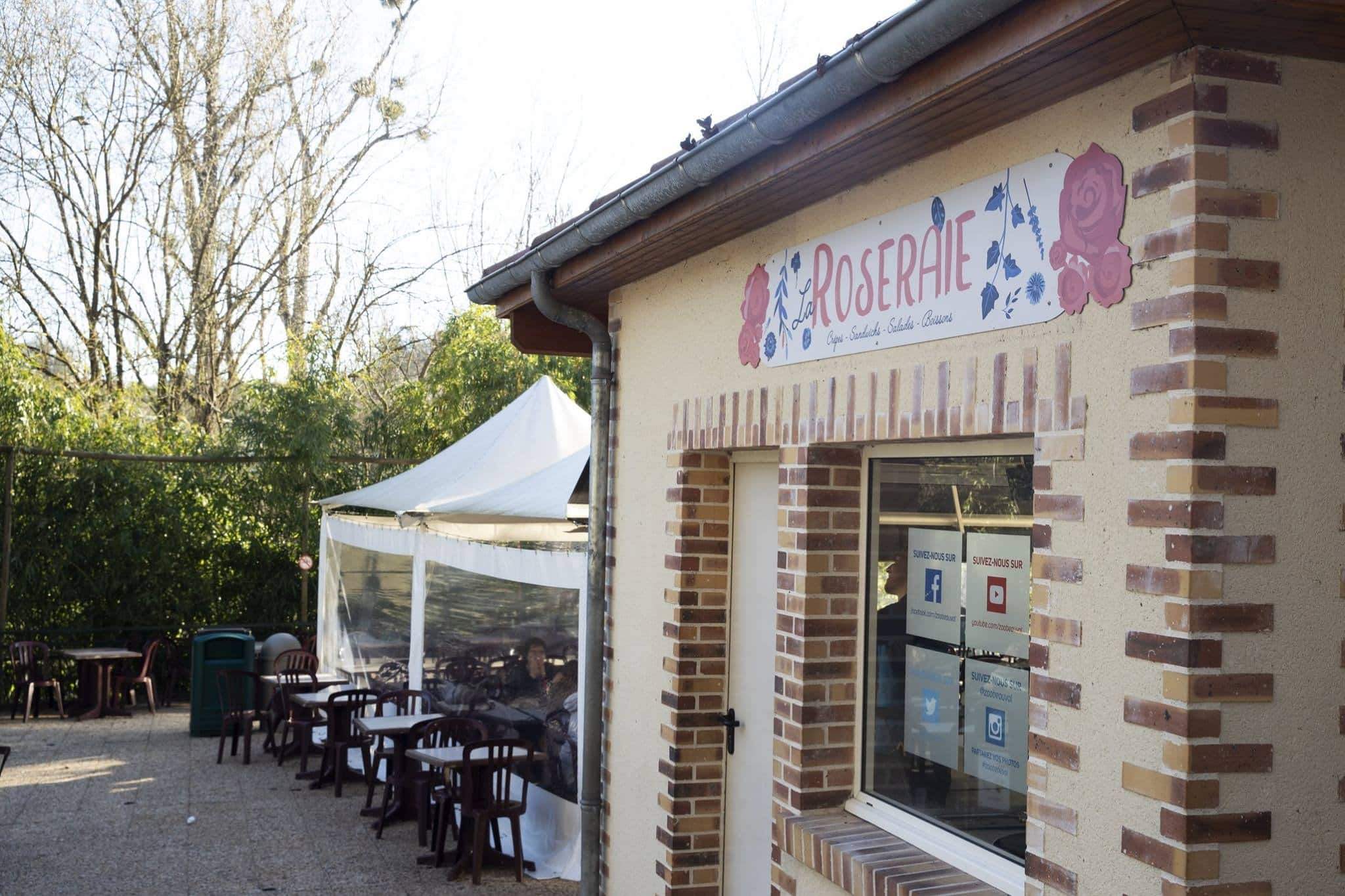 Où manger au Zoo de Beauval : les meilleurs restaurants