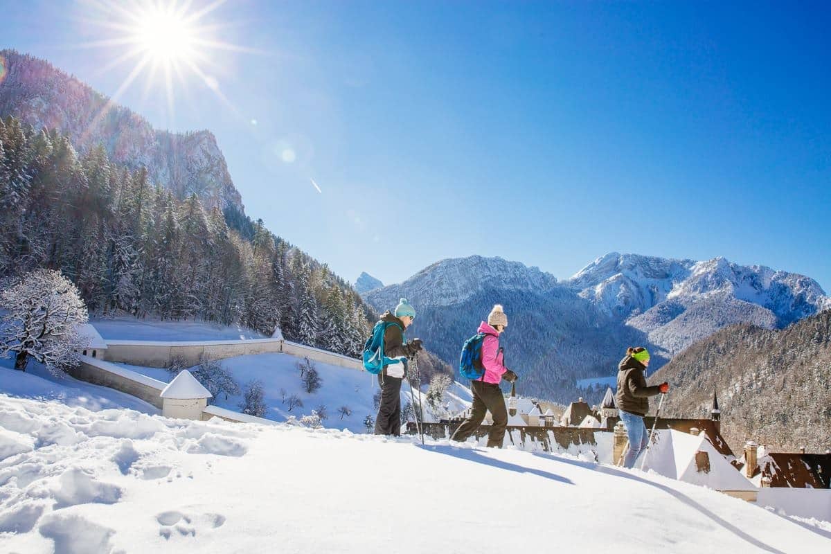 Visiter le Parc Naturel Régional de Chartreuse : guide complet