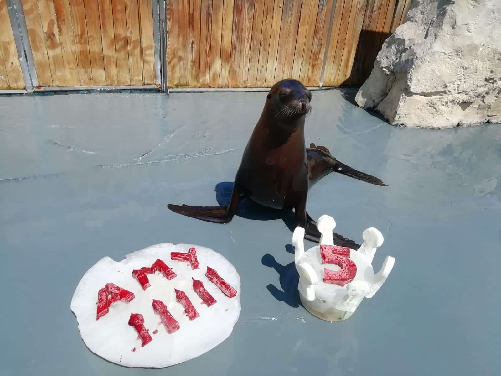 Les 15 animaux les plus iconiques à voir au Zoo de Beauval