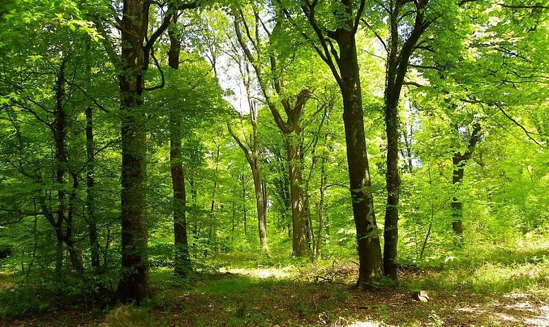 Les 13 plus belles randonnées à faire en Normandie