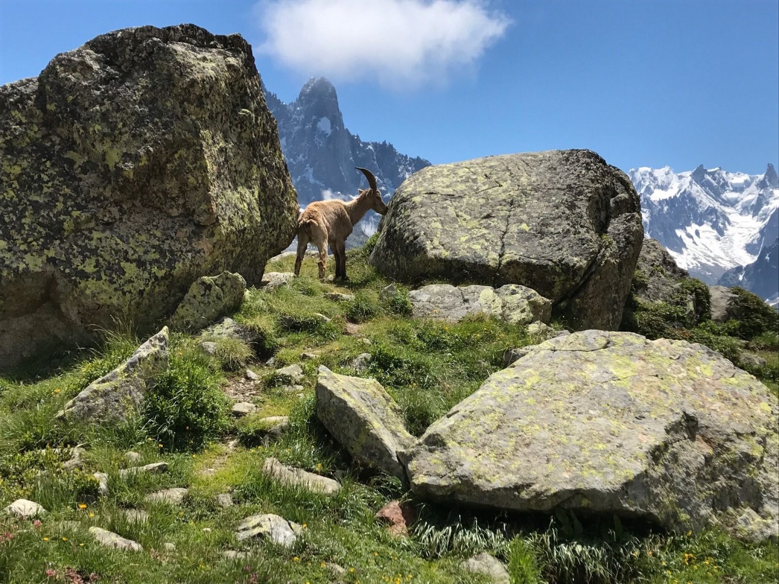 Les 8 plus belles randonnées à faire autour de Chamonix