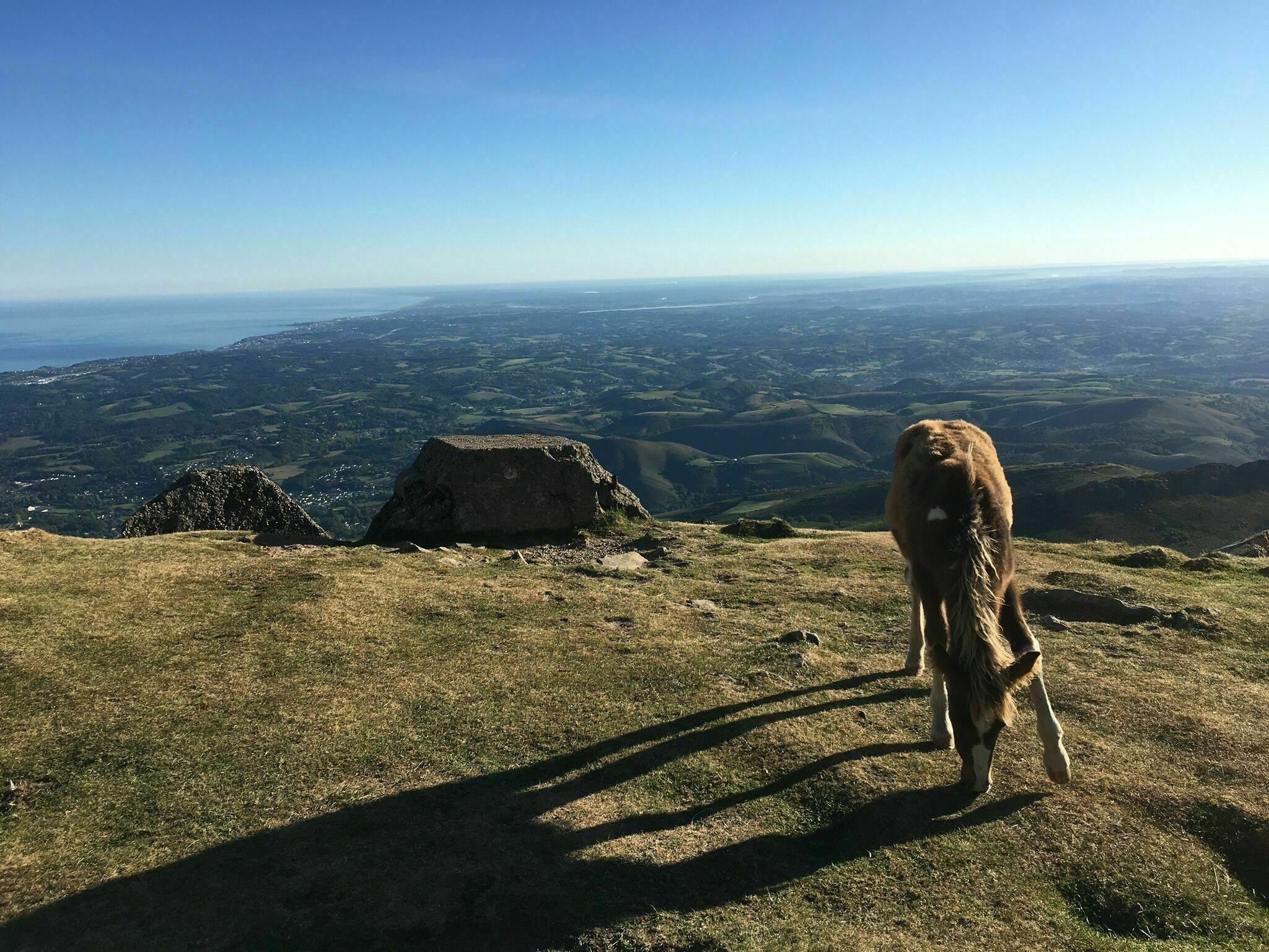 Les 6 plus belles randonnées à faire à la Rhune