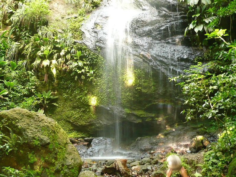 Les 10 plus belles randonnées à faire en Martinique