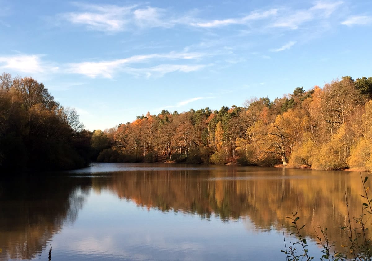 Les 6 plus belles randonnées à faire dans la Forêt de Rambouillet