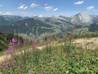 Les 8 plus belles randonnées à faire à la Clusaz
