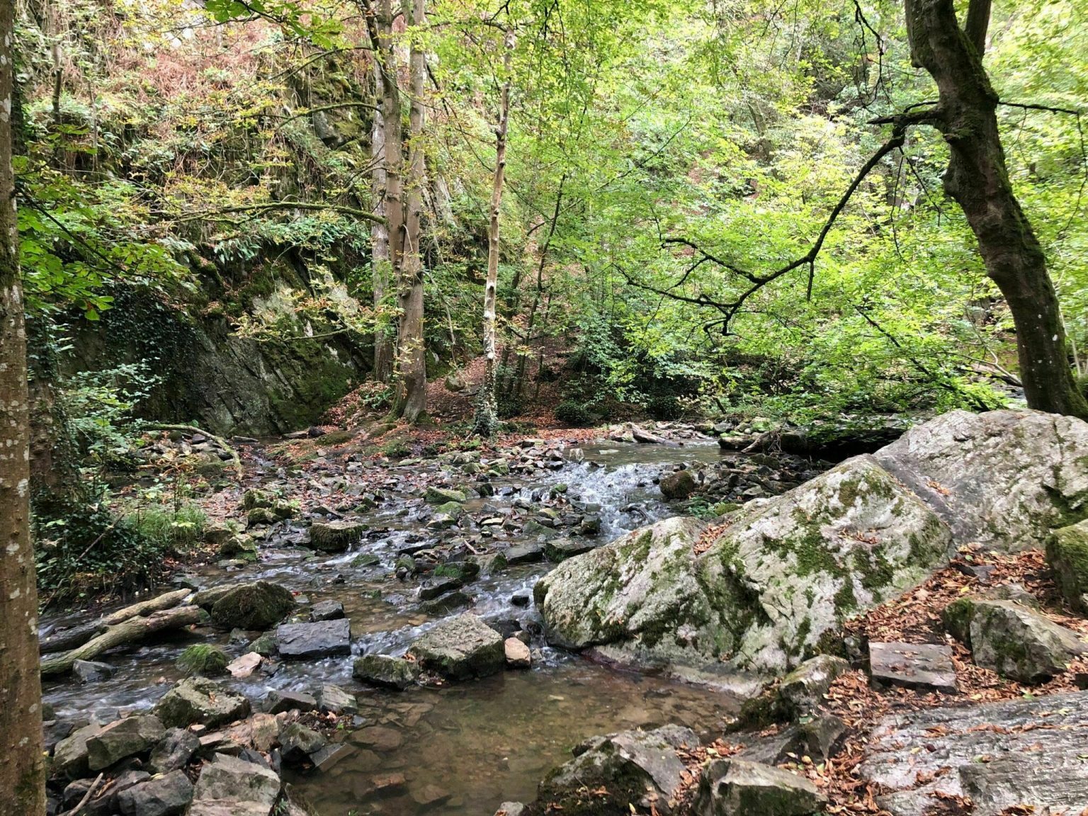 Les 8 plus belles randonnées à faire dans le Calvados
