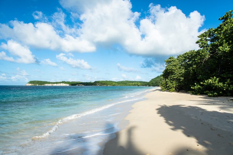 Les 7 meilleures balades en bateau autour de la Guadeloupe
