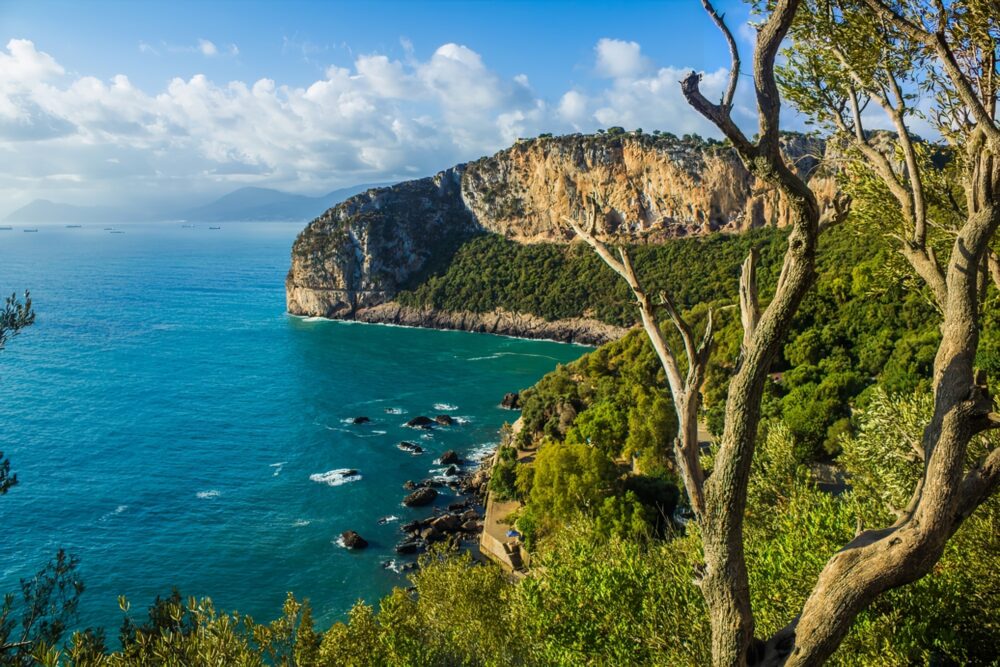 Tourisme Algérie : vivez des expériences uniques en 2025