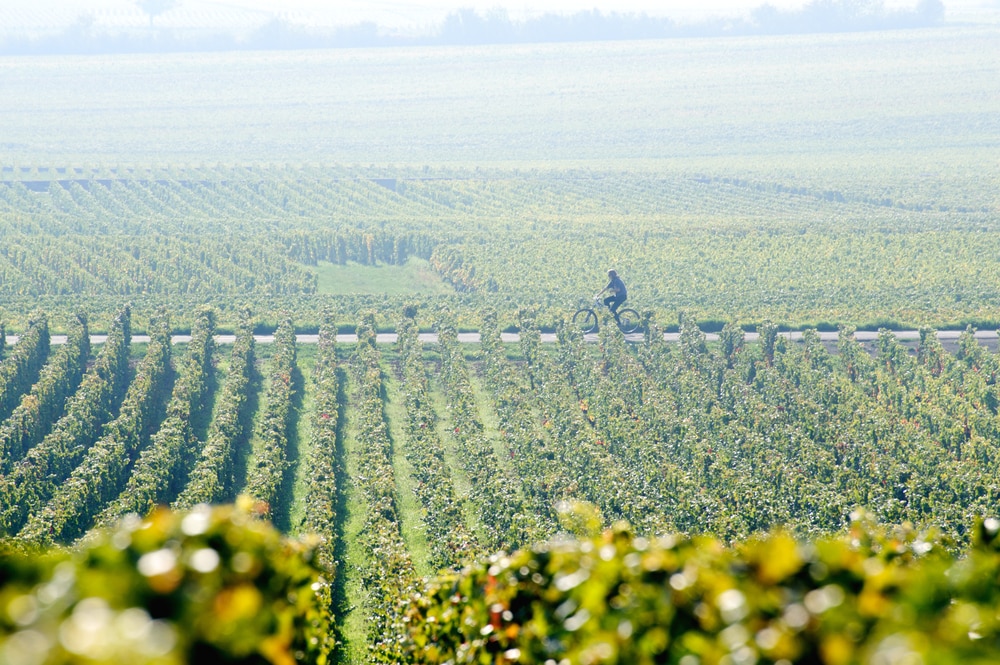 Les 16 choses incontournables à faire à Beaune