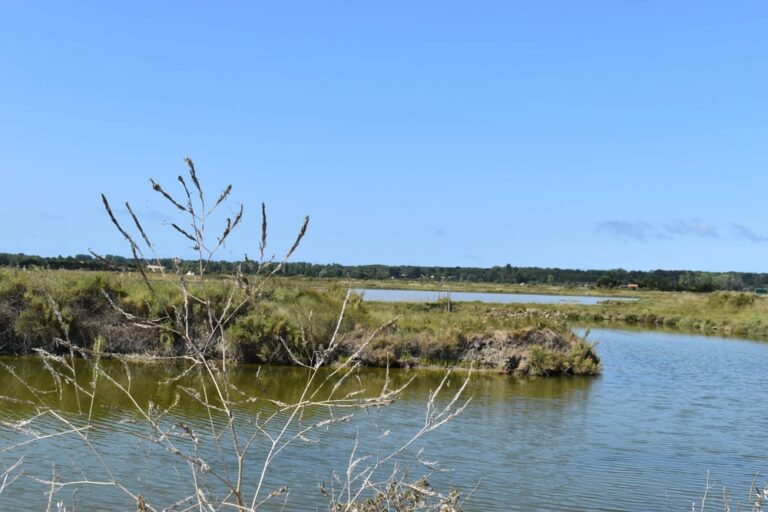 Les 15 choses incontournables à faire aux Sables d’Olonne
